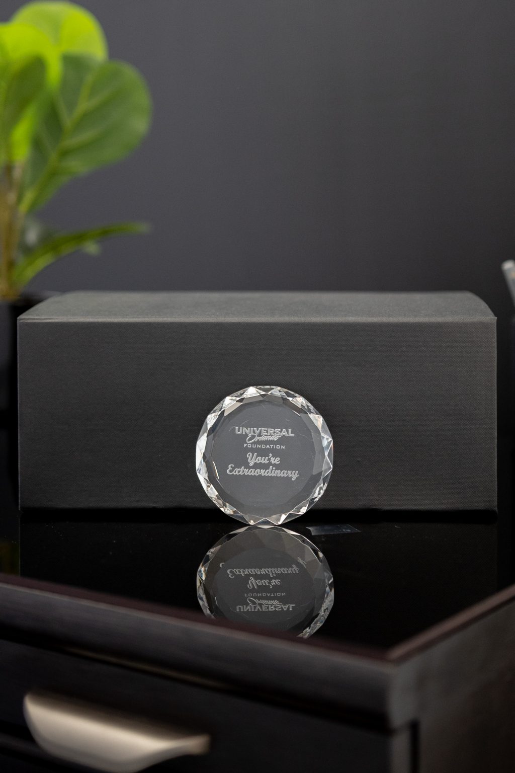 Multifaceted Crystal Round Paperweight - United Trophy